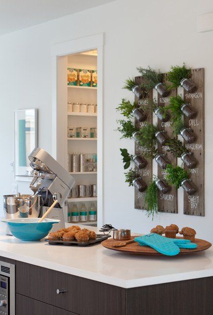 3 Ways Plants Make Your Kitchen Healthier